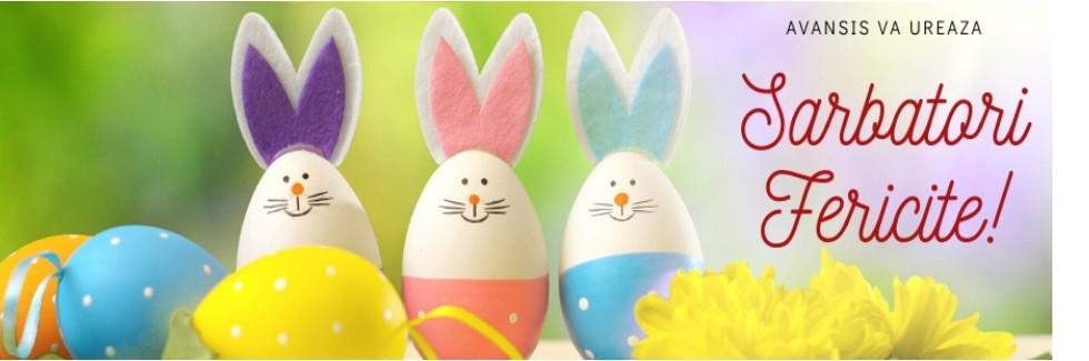 AVANSIS Computers - echipamente IT reconditionate